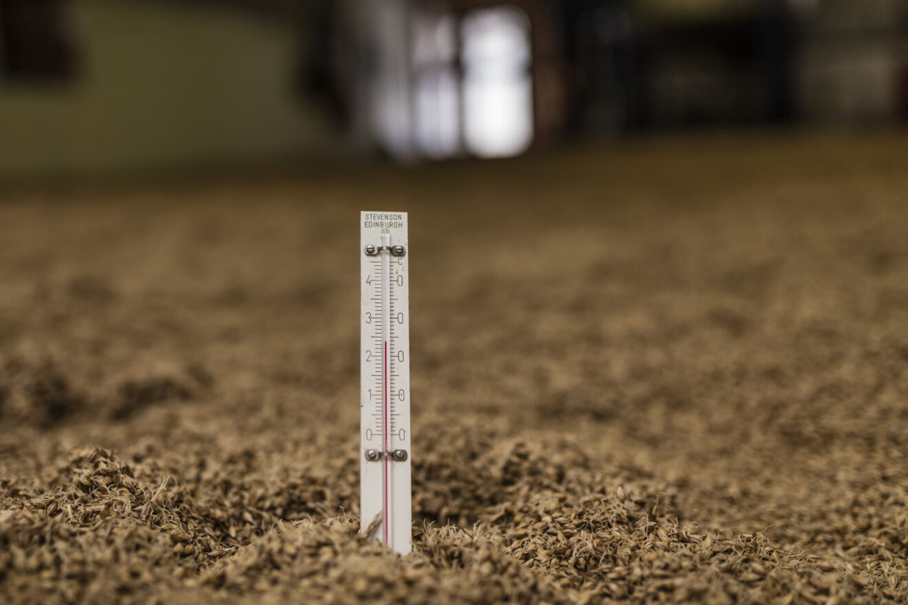 What is Traditional Floor Malting? This is how we do it at Kilchoman ...