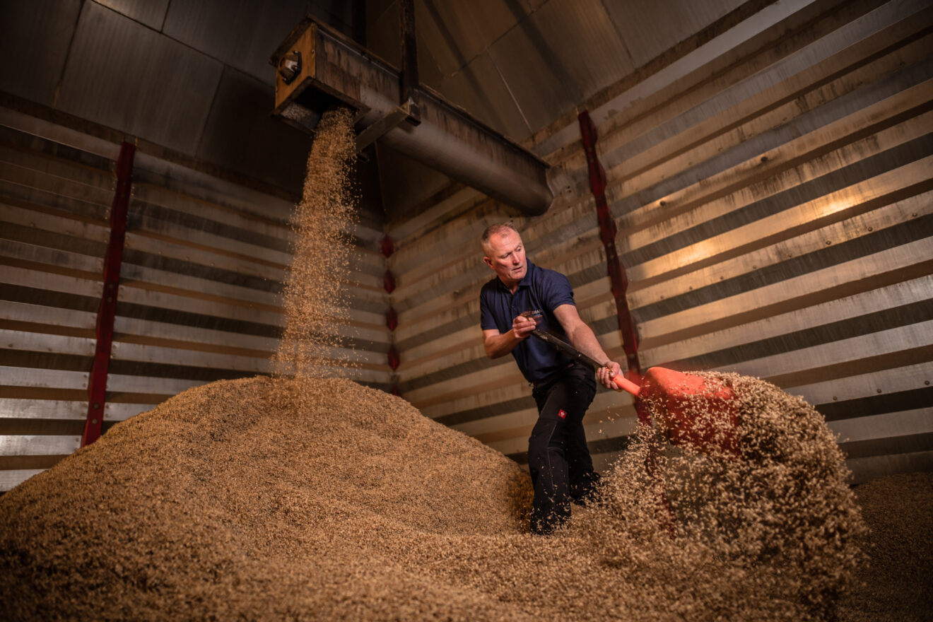 What is Traditional Floor Malting? This is how we do it at Kilchoman ...